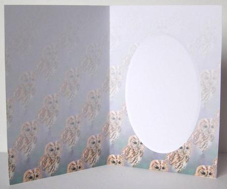 Tawny Owl Insert Sheet - CUP538609_15 | Craftsuprint