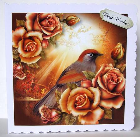 Beautiful Red Winged Thrush - CUP552570_1763 | Craftsuprint