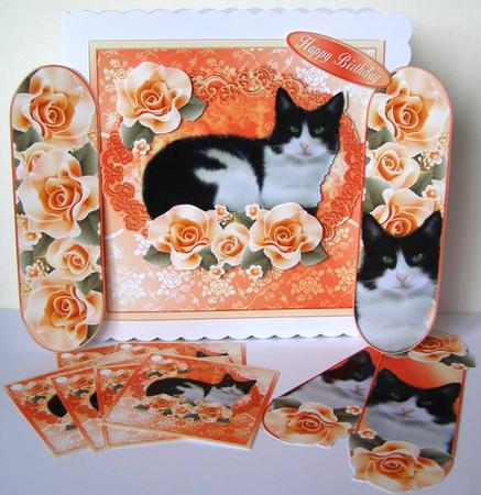 Lace and Rose, Cat Card Kit - CUP565039_1446 | Craftsuprint