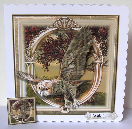 The Tawny Owl Card Front Kit - CUP640376_1483 | Craftsuprint