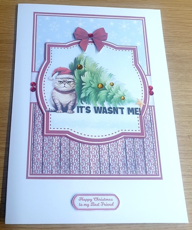 FUNNY CHRISTMAS ANIMAL TOPPER KIT - CUP1258097_57683 | Craftsuprint