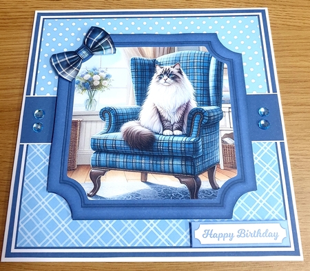 CLASSY CATS - CUP1292982_57683 | Craftsuprint