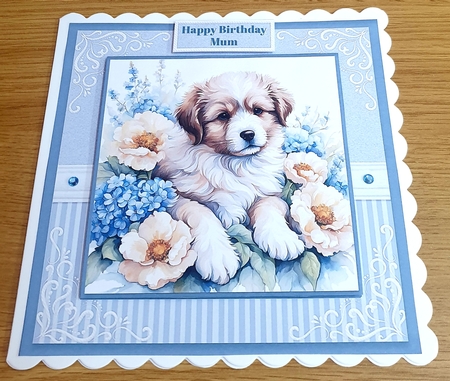 Dog With Blue & Cream Flowers - Photo by Margaret Scott