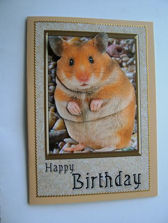 Hamster Card Front - CUP210051_1068 | Craftsuprint