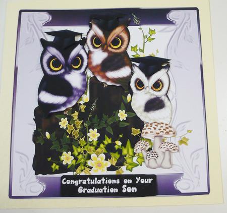 Triple Owl Graduation Congratulations Step by Step - CUP593182_1446 ...