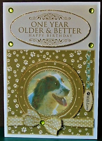 SPANIEL 4 THANK YOU AND VARIOUS OTHER SENTIMENTS - CUP844066_25427 ...