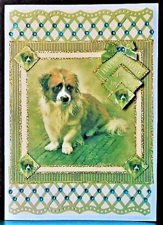 Sad Sam 8x8 Card Front Topper - Photo by Margarette Blakeborough