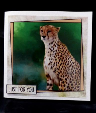 Gorgeous Cheetah Male or Female Card - CUP607584_819 | Craftsuprint