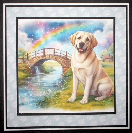 Rainbow Bridge Dogs 9 - Photo by Marion Kimberley-Scott - The Crafty Piper