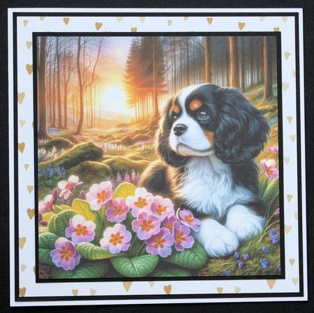 Primrose Forest Pups 1 - Photo by Marion Kimberley-Scott - The Crafty Piper