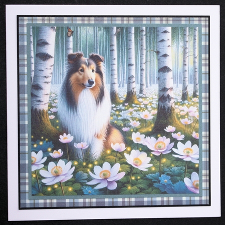 Beautiful Birch Forest Dogs 10 - Photo by Marion Kimberley-Scott - The ...