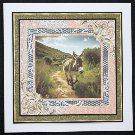 All about the donkey card front 2 - Photo by Marion Kimberley-Scott ...