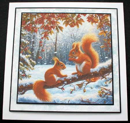 Winter Berry Squirrel - Photo by Marion Kimberley-Scott - The Crafty Piper