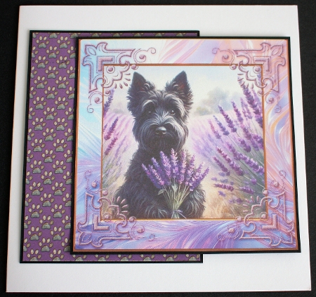 Paw Prints Backing Paper Mauve A4 - Photo by Marion Kimberley-Scott ...