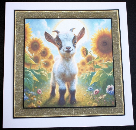 Sunflower Goats - Photo by Marion Kimberley-Scott - The Crafty Piper