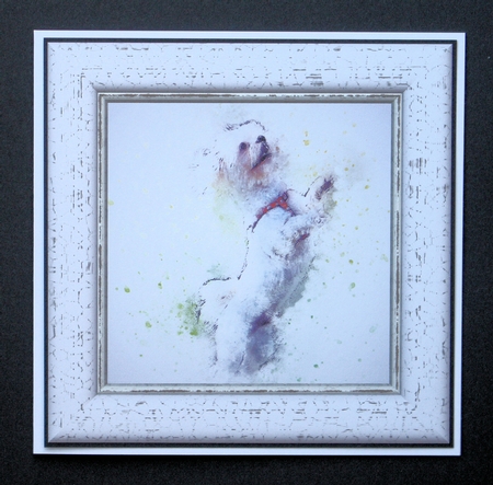 Watercolour Splatter Art - Dogs & Cats - Exclusive Bumper Kit ...