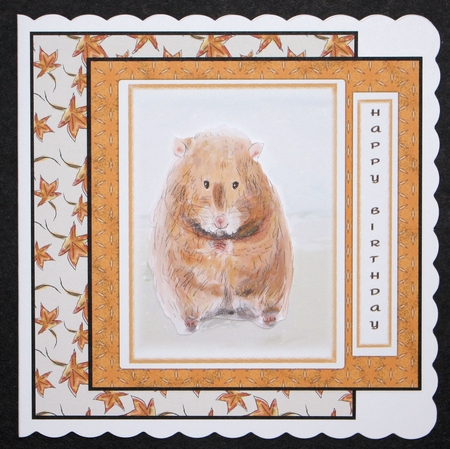 HAMSTER BIRTHDAY CARD: 7x7, With Hamster Decoupage,Extra Blank ...