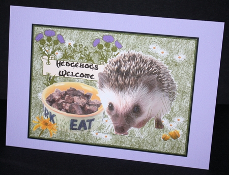 HEDGEHOGS WELCOME - CUP922491_66 | Craftsuprint