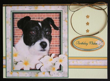 Archie Topper - CUP420692_3 | Craftsuprint