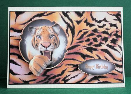 Animals, Animals - Set of 10 Backing Papers - CUP622299_66 | Craftsuprint