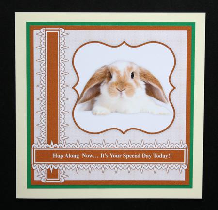Lop Eared Bunny Rabbit 7" x 7" Card Topper with 5 Greetings - CUP675325 ...