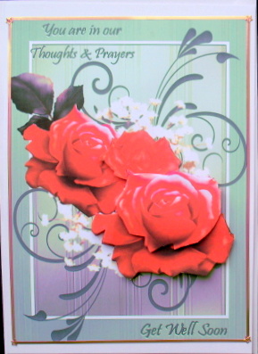 Get Well Roses - CUP606388_688 | Craftsuprint