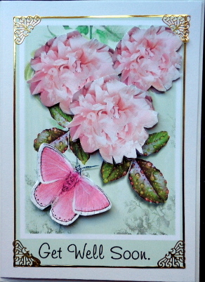 Get Well Pink Roses - CUP664563_906 | Craftsuprint