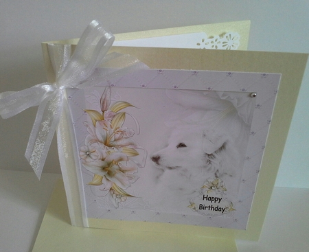 Winter Lillies White & Dog Card Front - Photo by Pam Ogilvy