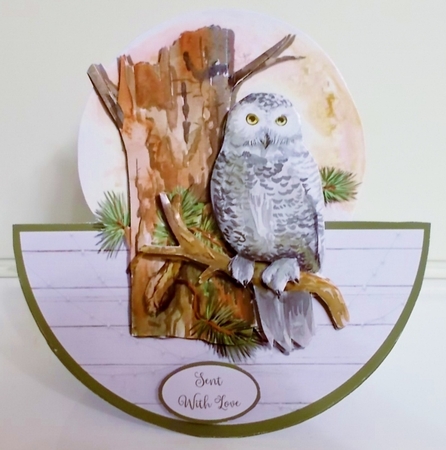 OWL MOON ROCKER CARD - Photo by Pam Stubley
