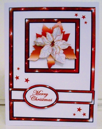 Pop-out words Red Poinsettias - CUP827692_173 | Craftsuprint