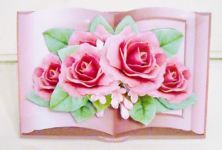 Pink Roses Book - CUP904920_936 | Craftsuprint