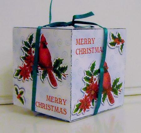All in One Gift Box - Red Cardinal - CUP552380_66 | Craftsuprint