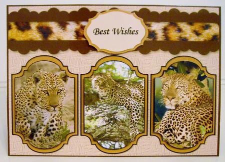 Leopard Card - CUP680189_466 | Craftsuprint
