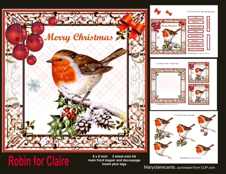 Little Robin Red Breast Decoupage 2 - CUP819643_43136 | Craftsuprint