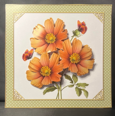 Lovely Floral Birthday/Get Well Topper - Green - Photo by Pauline Inglis