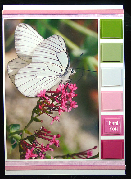 Color Swatch Butterfly - CUP574481_993 | Craftsuprint