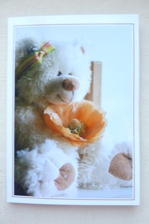 Poppy Teddy Bear - CUP192940_1035 | Craftsuprint