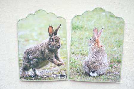 Two Summer Rabbit Card Fronts - CUP257870_1446 | Craftsuprint