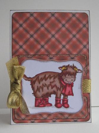 Heilan' Coo Digital Lineart - Photo by Ruth Cunliffe
