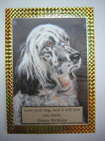 English Setter - CUP34865_24 | Craftsuprint
