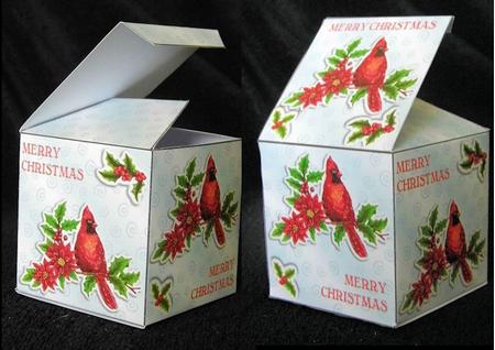 All in One Gift Box - Red Cardinal - CUP552380_66 | Craftsuprint