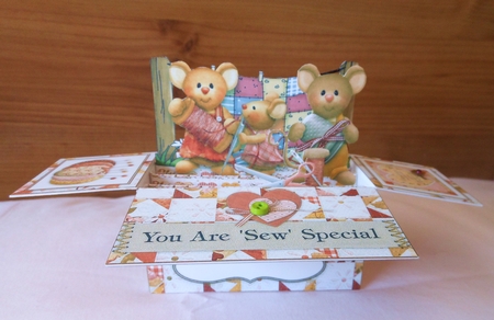 Quilting Mice - 3D Pop-up Box Card Kit & Envelope - Photo by Shelagh E ...