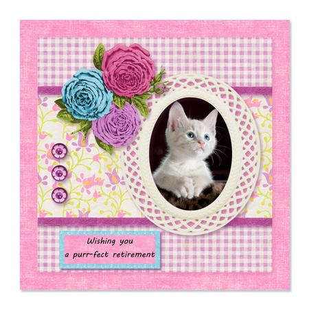 Kitten Cat Birthday, Retirement, Thank You, Get Well - CUP664941_2123 ...