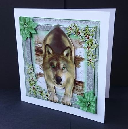 Beautiful Green Eyed Wolf Card Front Kit - CUP654423_1483 | Craftsuprint