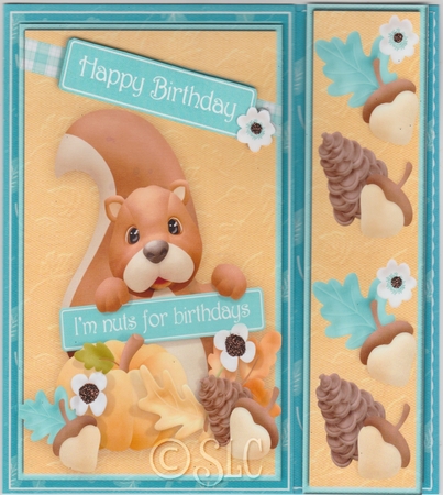 Im Nuts for Birthdays Card Kit - CUP739088_72307 | Craftsuprint