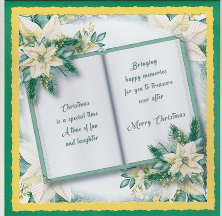 Blank Christmas Open Book - Cream Poinsettias 8x8 - Photo by Susan Cummings