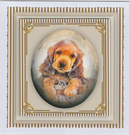 8x8 mini kit , Gorgeous Spaniel Pup , Pyramid - CUP933161_1398 ...