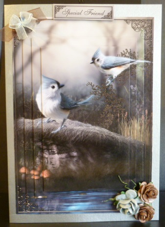 The Bird Watcher Mini Kit - CUP428404_1443 | Craftsuprint