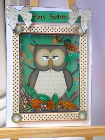 Cute Wise Owl Shaker Card - CUP85293_572 | Craftsuprint
