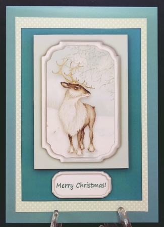 5 x 7 Christmas Reindeer Card Kit With Matching Insert, Envelope ...
